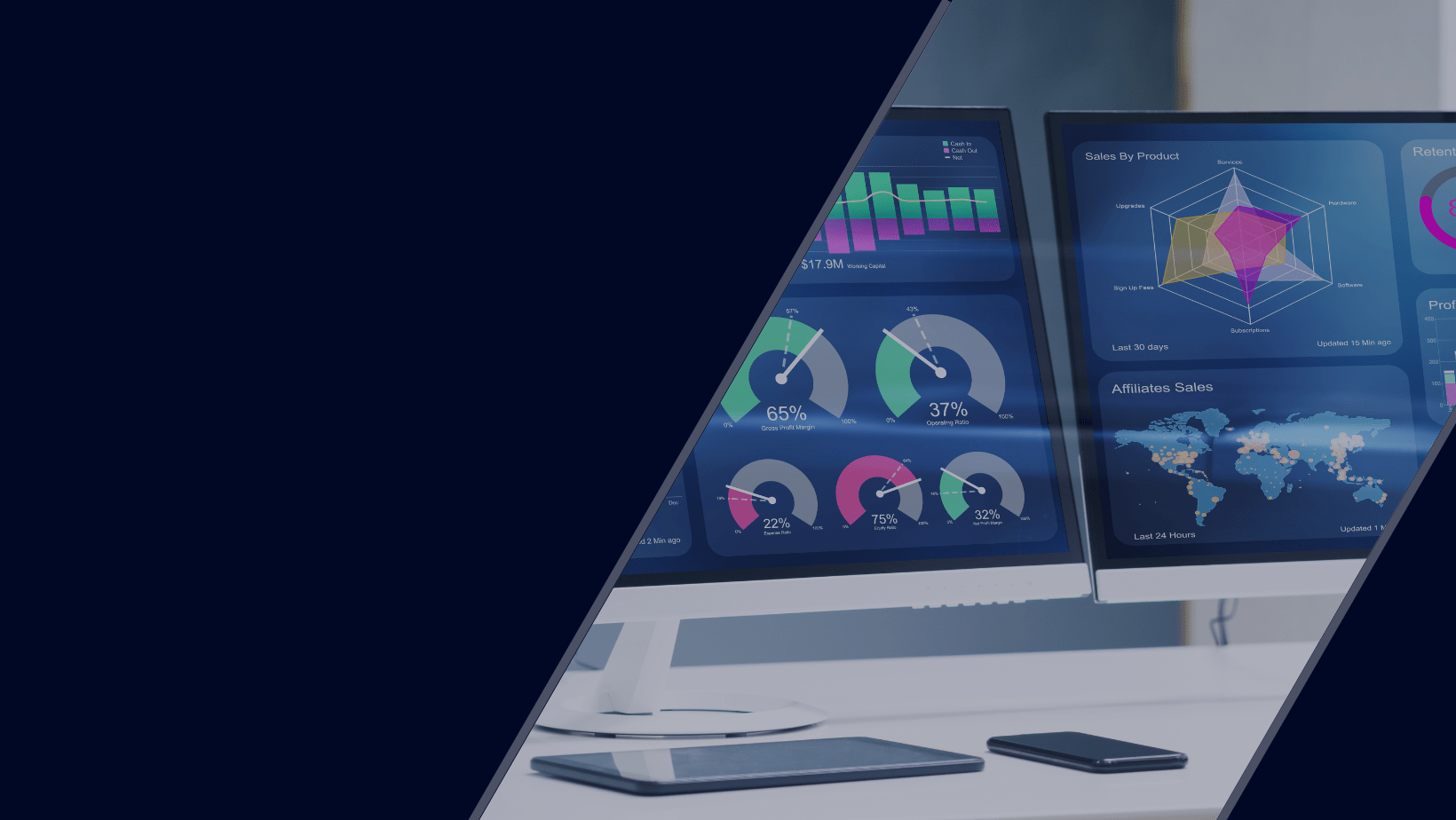 Dynamic Report Development Ajelix